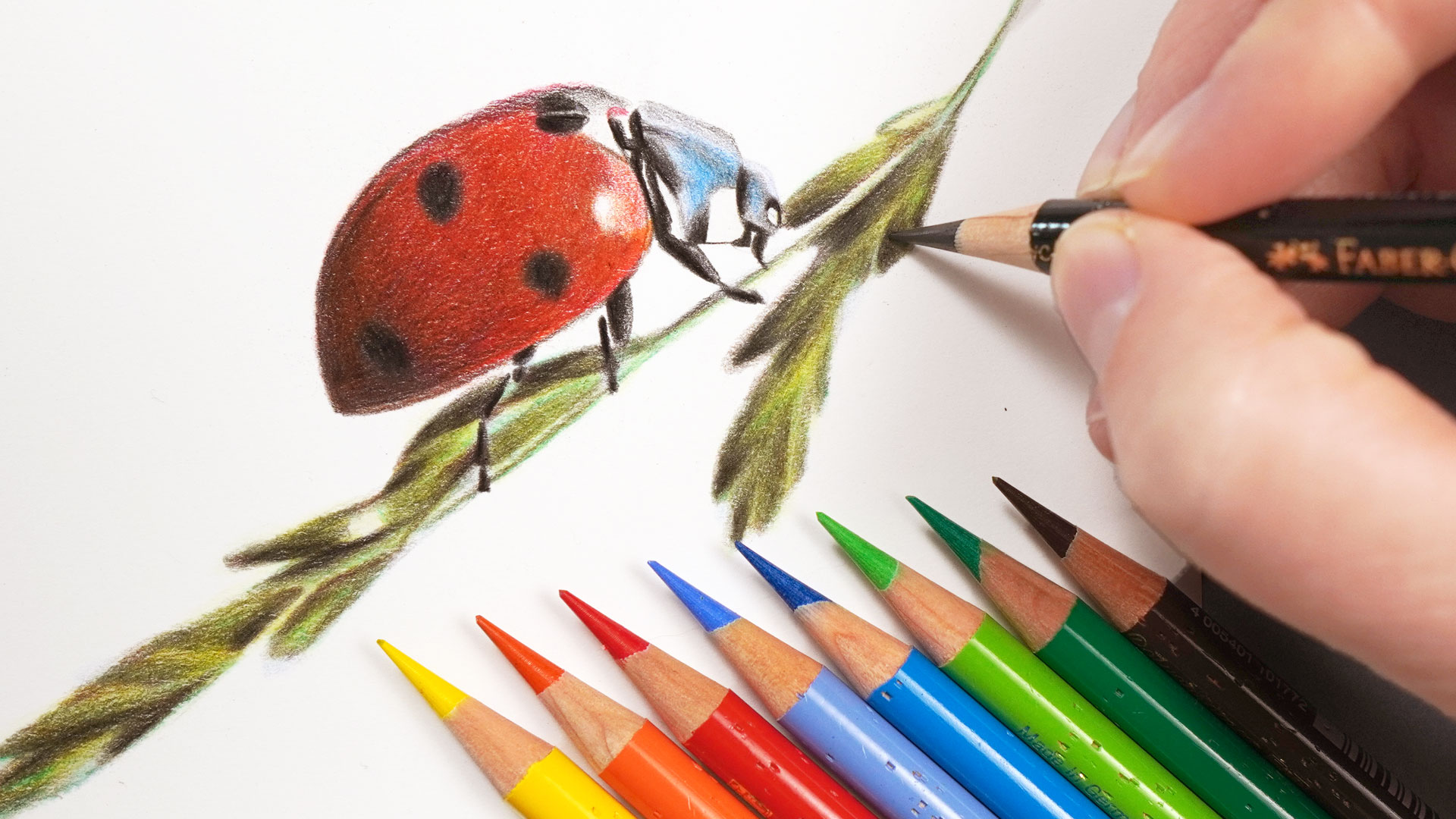 FREE Ladybird Tutorial - Gemma Chambers Art